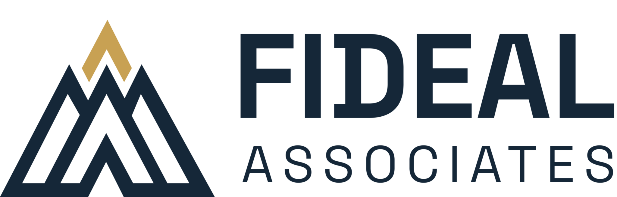 Services – Fideal Associates